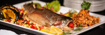 Whole Smoked Fish – Broil King US